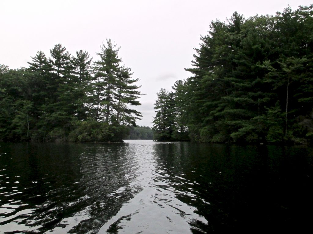 Kayaking Pawtuckaway Lake - Pawtuckaway State Park - Neil's Cove Launch ...
