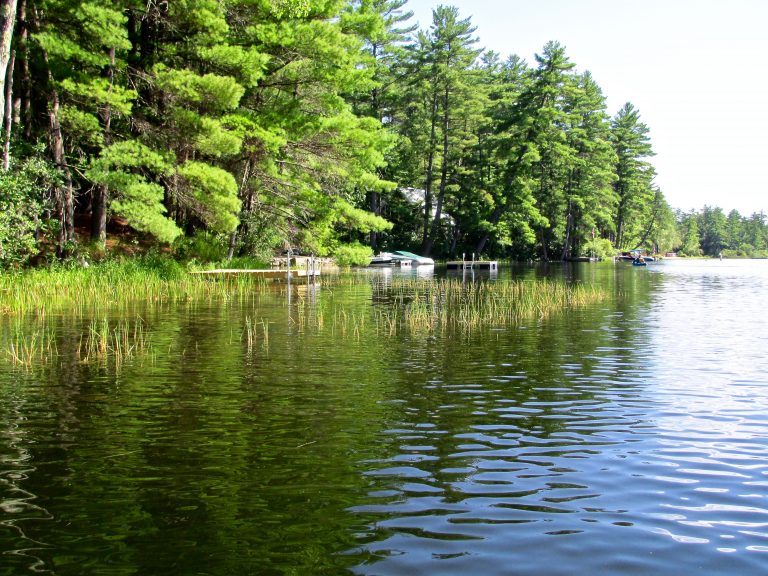 Conway Lake - Wilderness Girls Kayaking